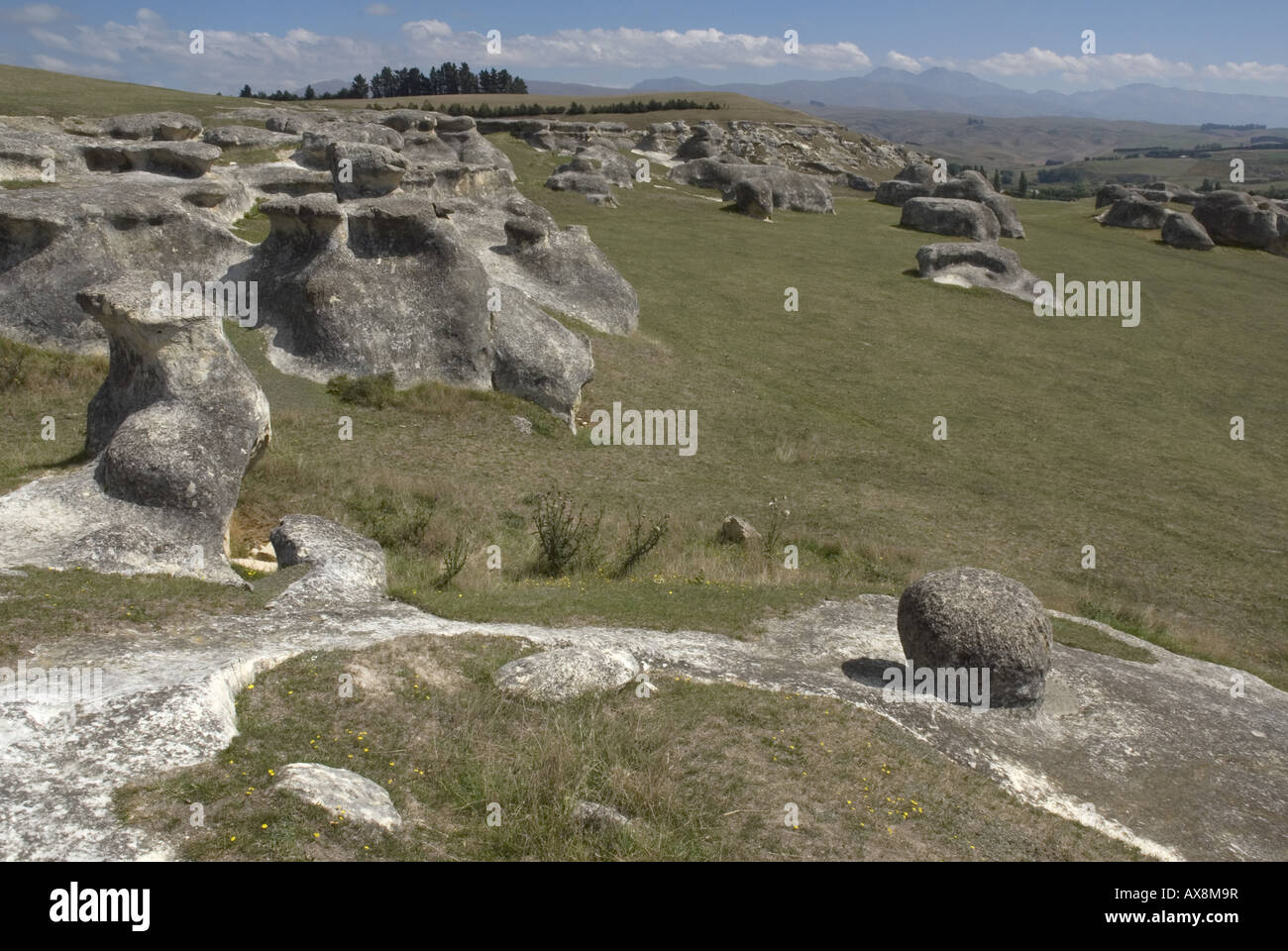 The weird landscape at Elephant Rocks, North Otago in the South Island ...