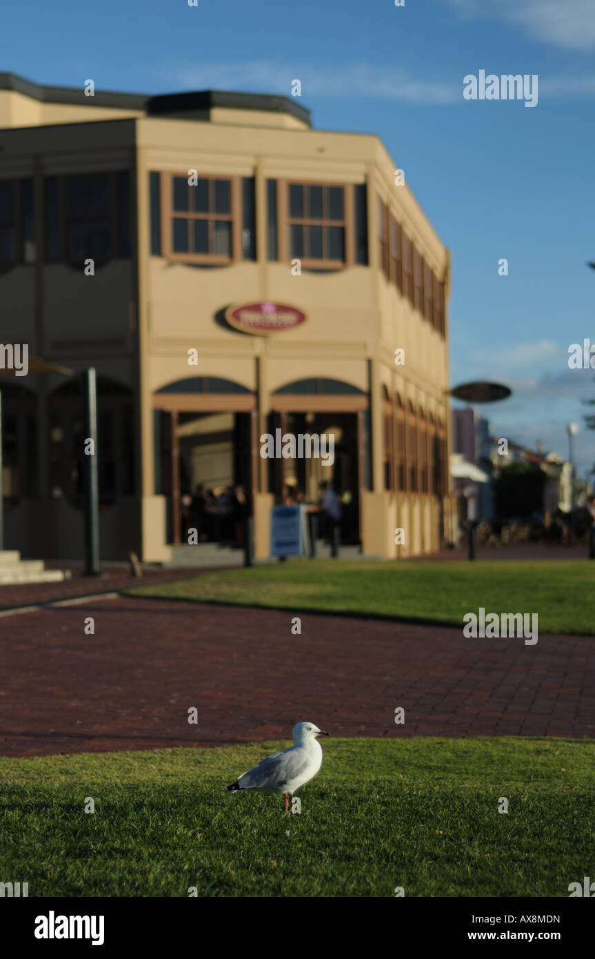 Henley square hi-res stock photography and images - Alamy