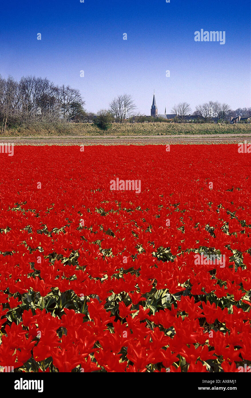 Zilk hi-res stock photography and images - Alamy