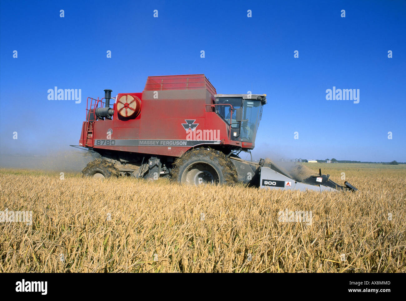 HARVESTING HIGH YIELD RICE IN EXCELLENT CONDITION USING MASSEY FERGUSON ...