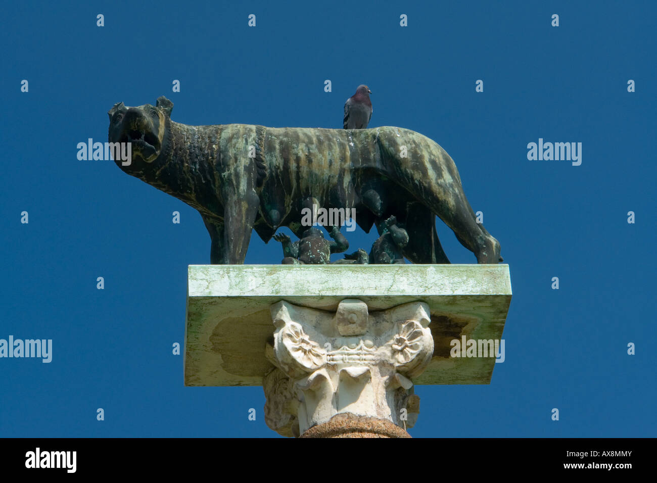 Capitoline wolf with Romulus and Remus at the Cathedral of Pisa Tuscany ...