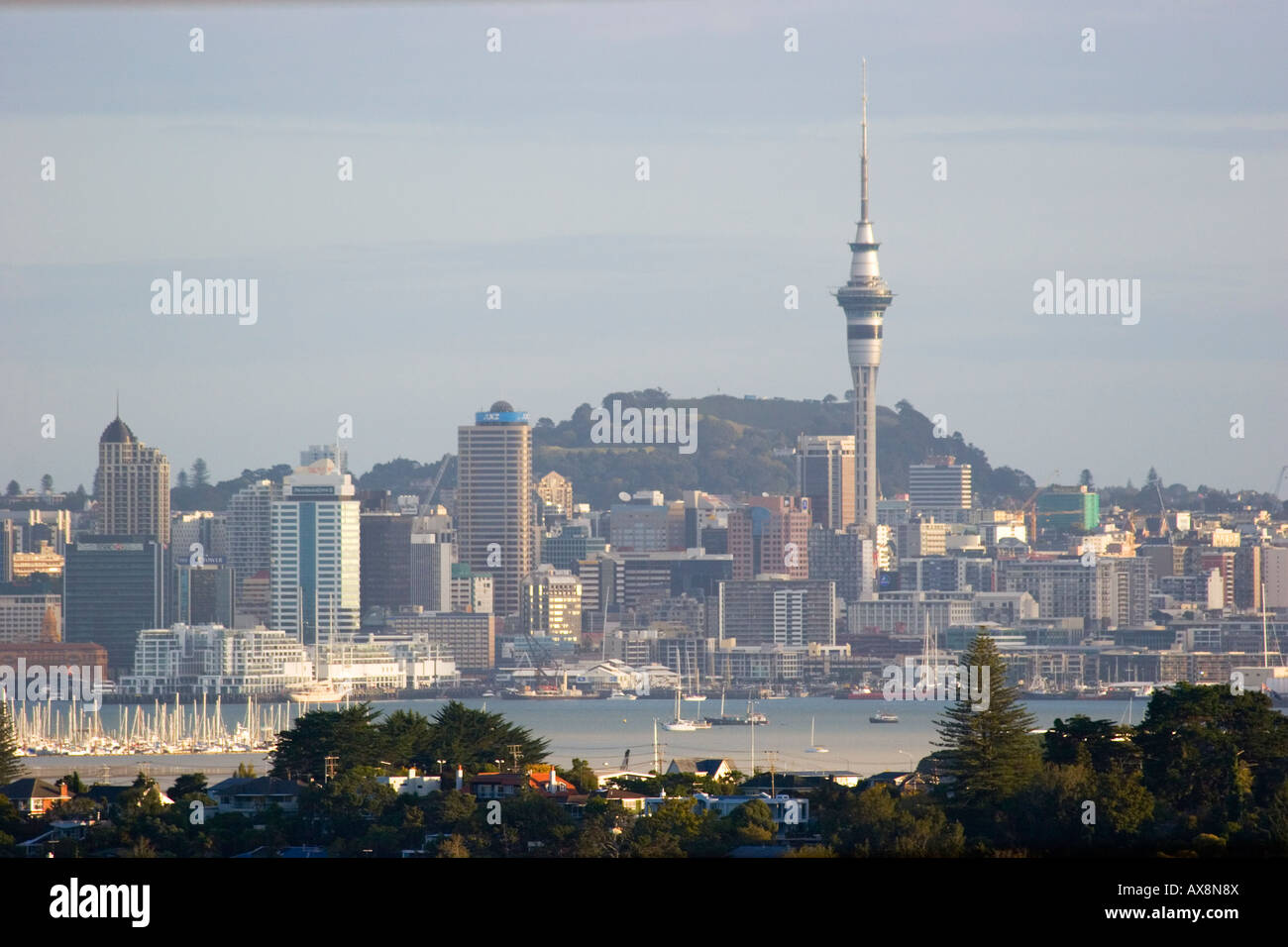 City view Auckland New Zealand Stock Photo - Alamy
