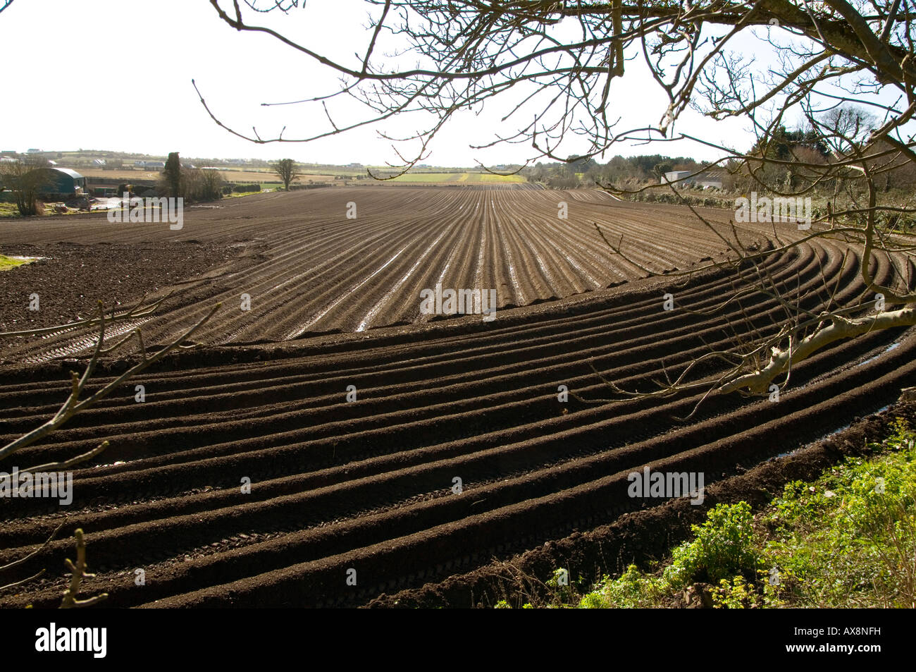 Freshly ploughed fields in the springtime - north county Dublin ...