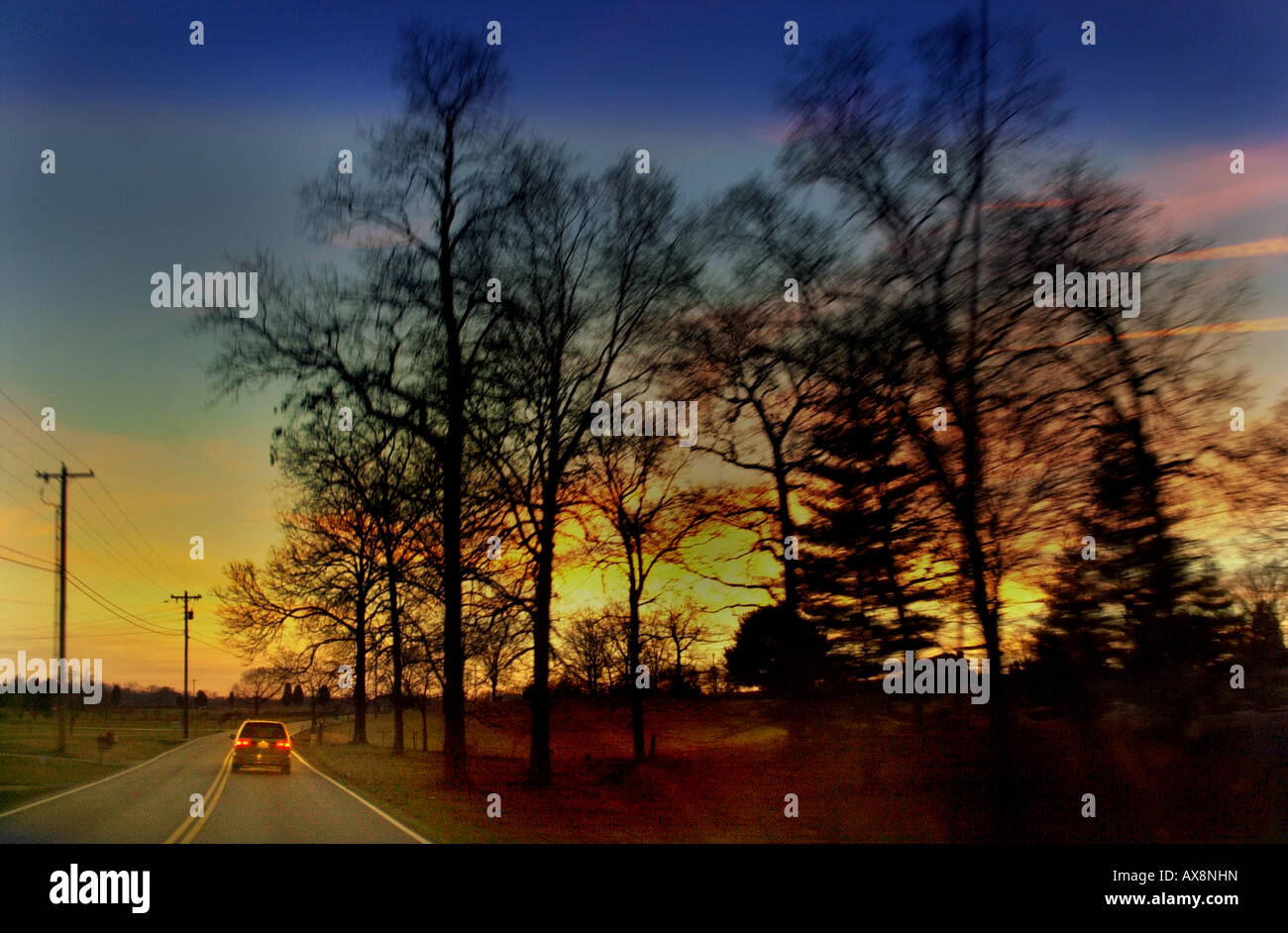 sunset on road with trees Stock Photo - Alamy