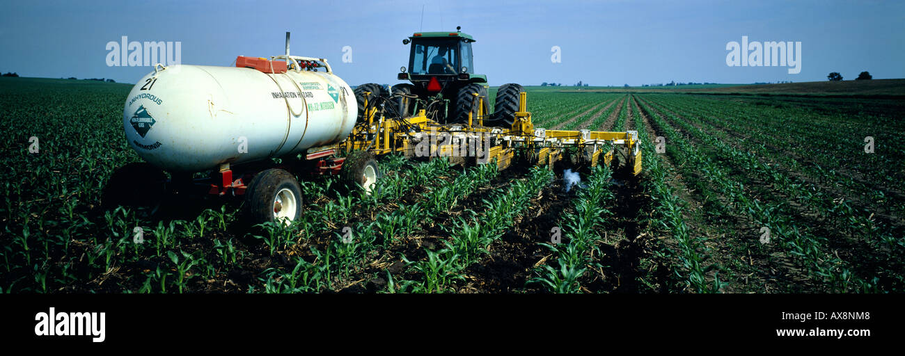 RIDGE TILL CULTIVATOR WITH ANHYDROUS AMMONIA TANK IN 12 CORN SHOWING ...