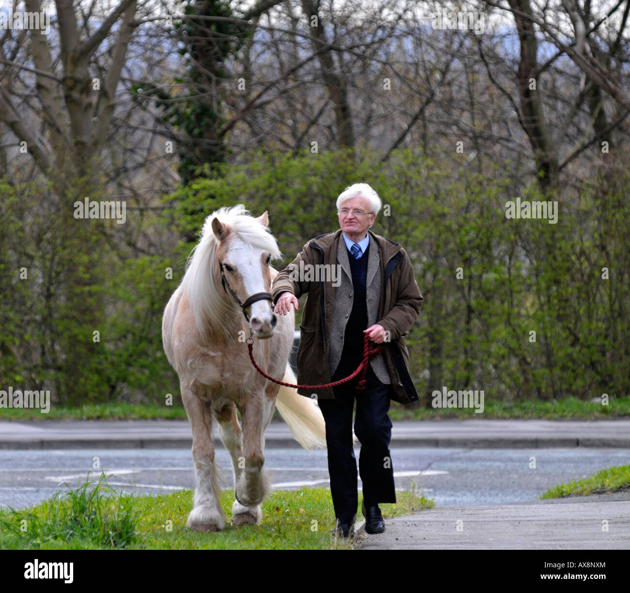 Man walking horse hi-res stock photography and images - Alamy