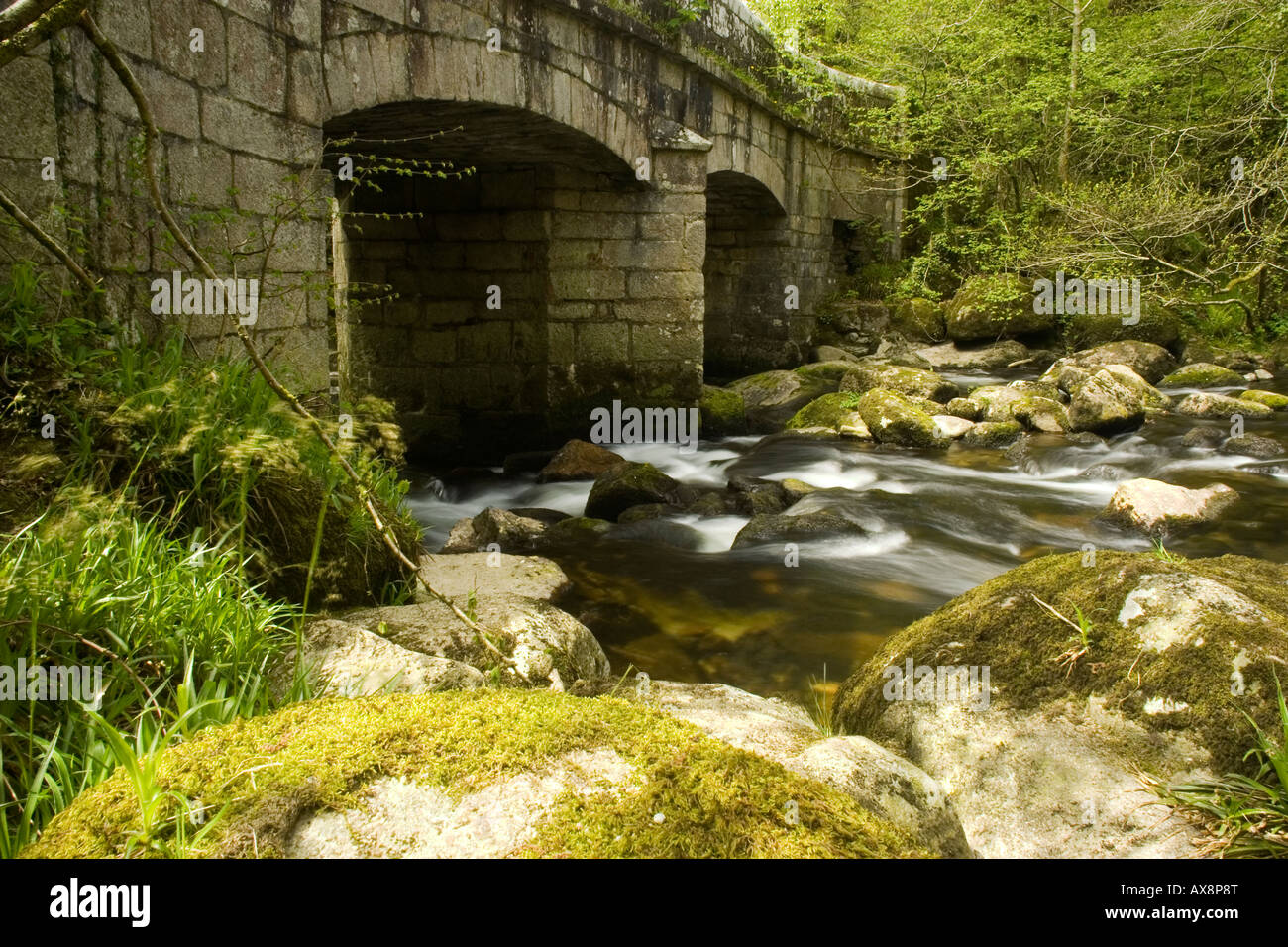 The River Plym flowing under Shaugh Bridge, Dartmoor, Devon Stock Photo ...