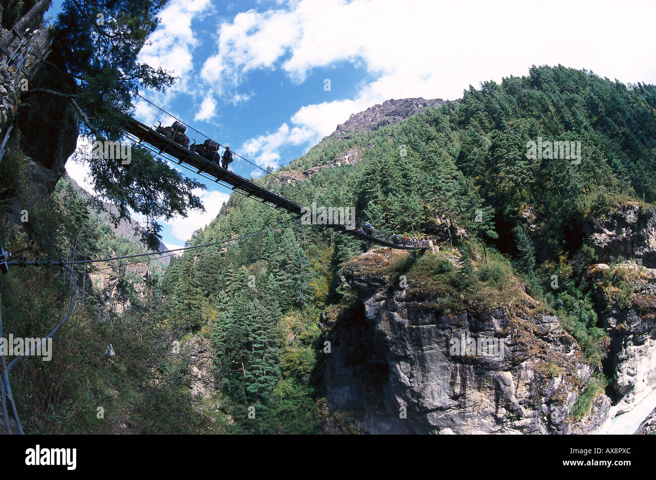 Hillary suspension bridge hi-res stock photography and images - Alamy