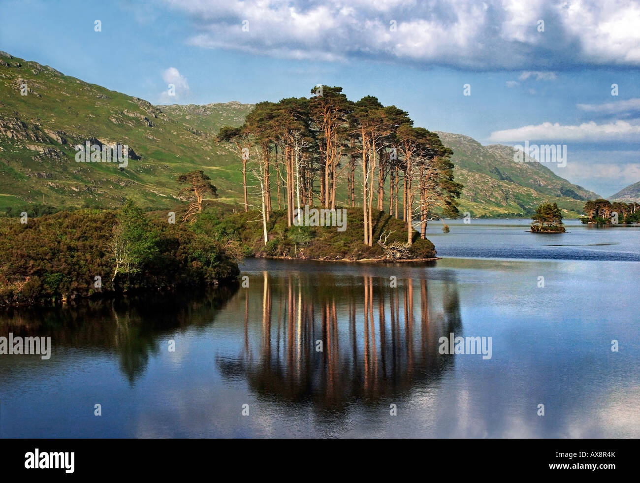 Islands at Loch Eilt, Scotland, UK Stock Photo - Alamy