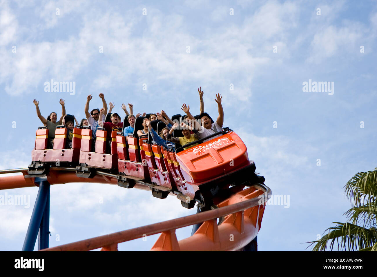 Scorpion Roller Coaster at Busch Gardens Tampa Florida USA Fl U S Stock ...