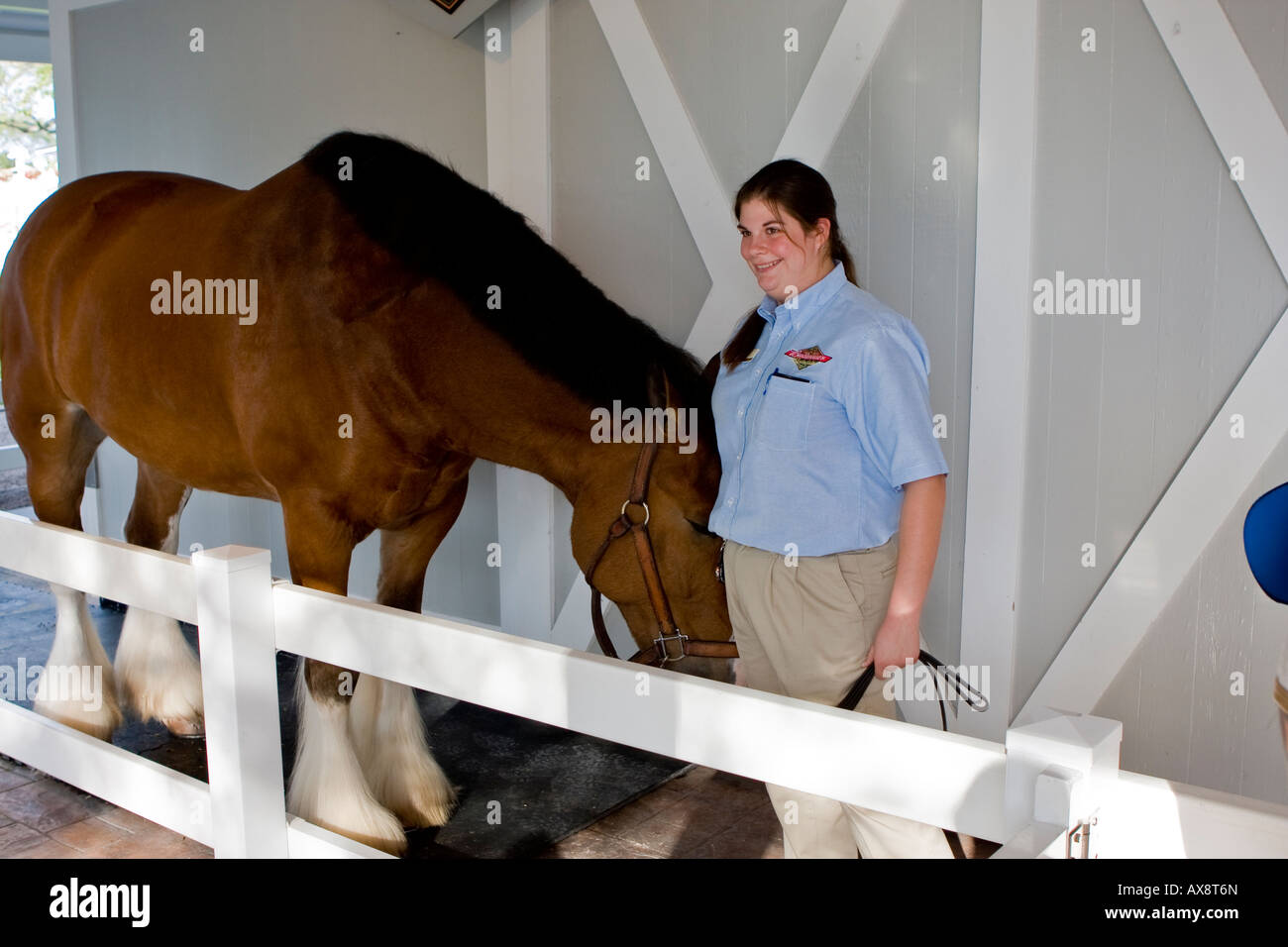 Busch gardens animals hi-res stock photography and images - Alamy