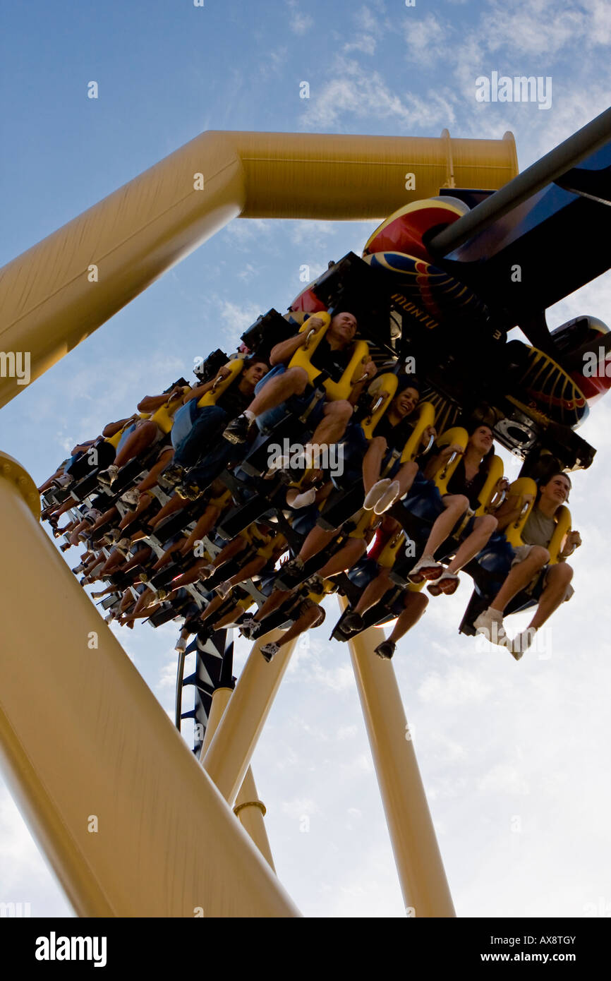 Montu roller coaster busch gardens hi-res stock photography and images ...