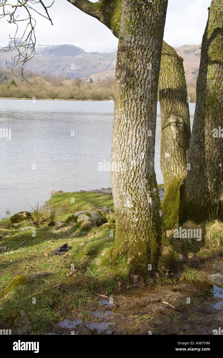 Elterwater uk hi-res stock photography and images - Alamy