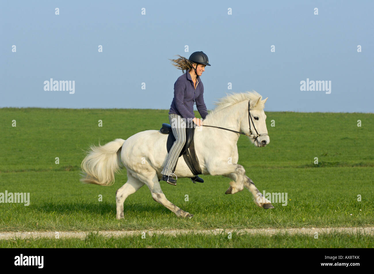 Grey horse and girl rider hi-res stock photography and images - Alamy