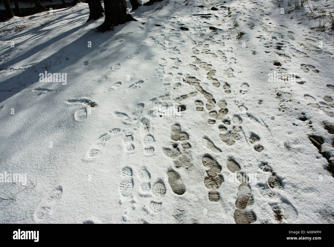Snow footsteps hi-res stock photography and images - Alamy