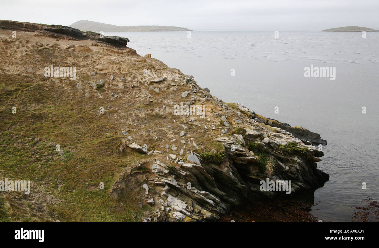 The rocky coastline of the Falkland Islands Stock Photo - Alamy