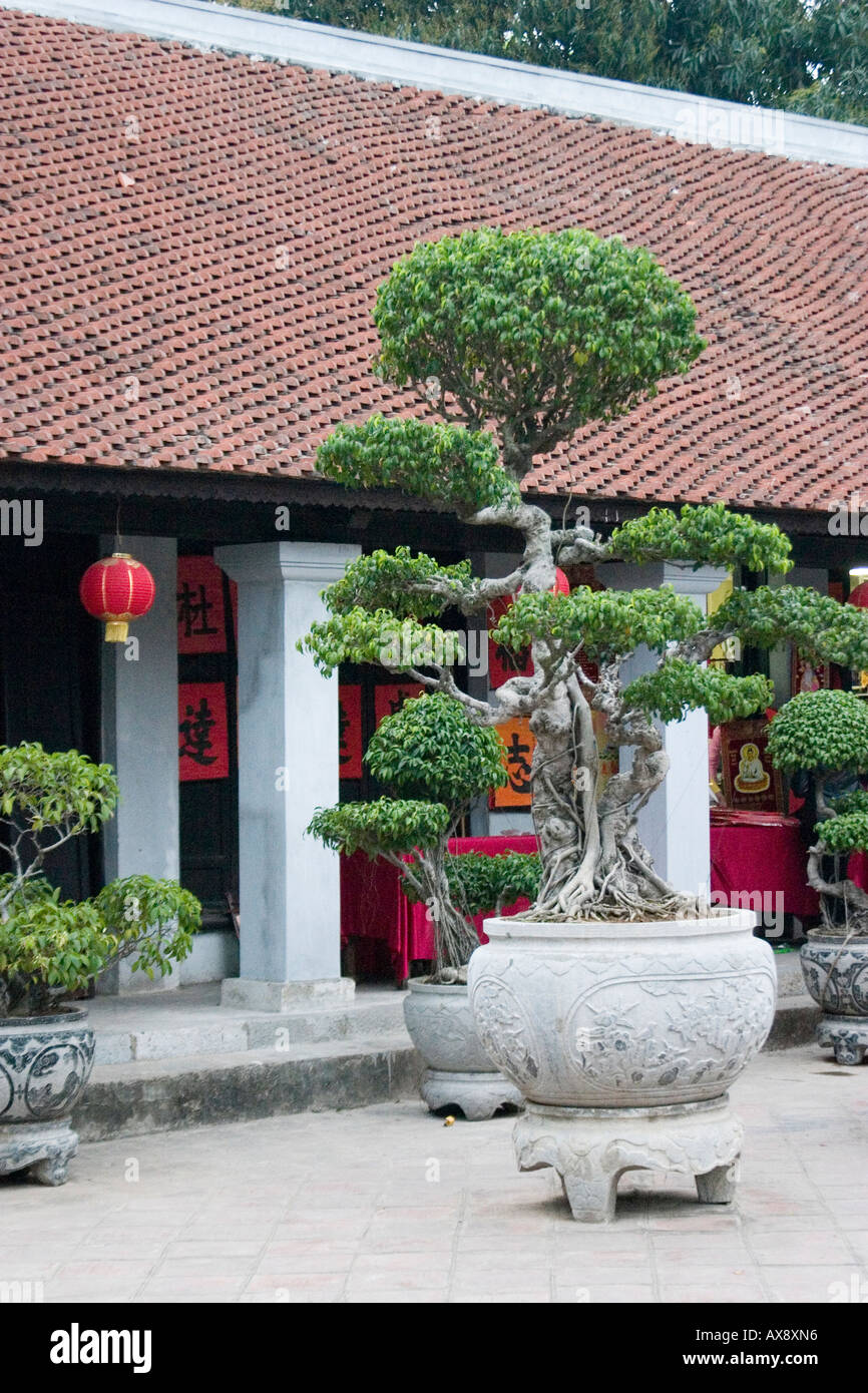 The Temple of Literature (Van Mieu Stock Photo - Alamy
