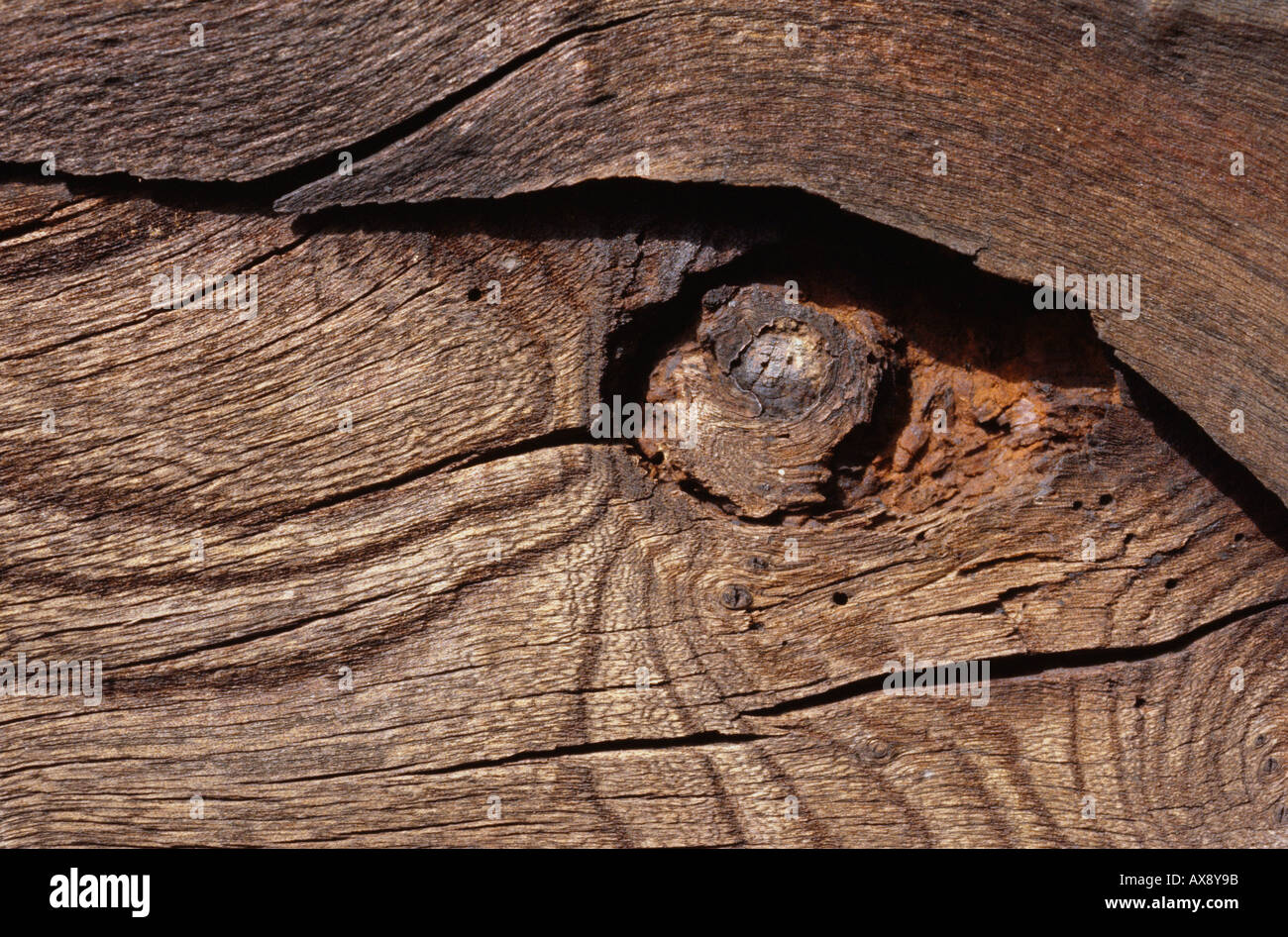 134325 hi-res stock photography and images - Alamy