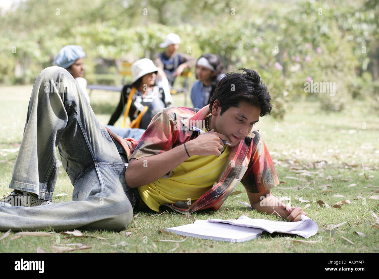 College student studying in a park Stock Photo - Alamy