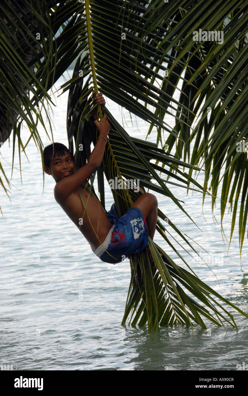 Little boy is enjoying playing with coconut leaf tree in the sea, Koh ...