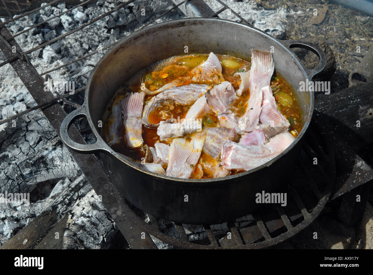 ray fish stew (court bouillon) cooked on open fire barbecue, creole ...