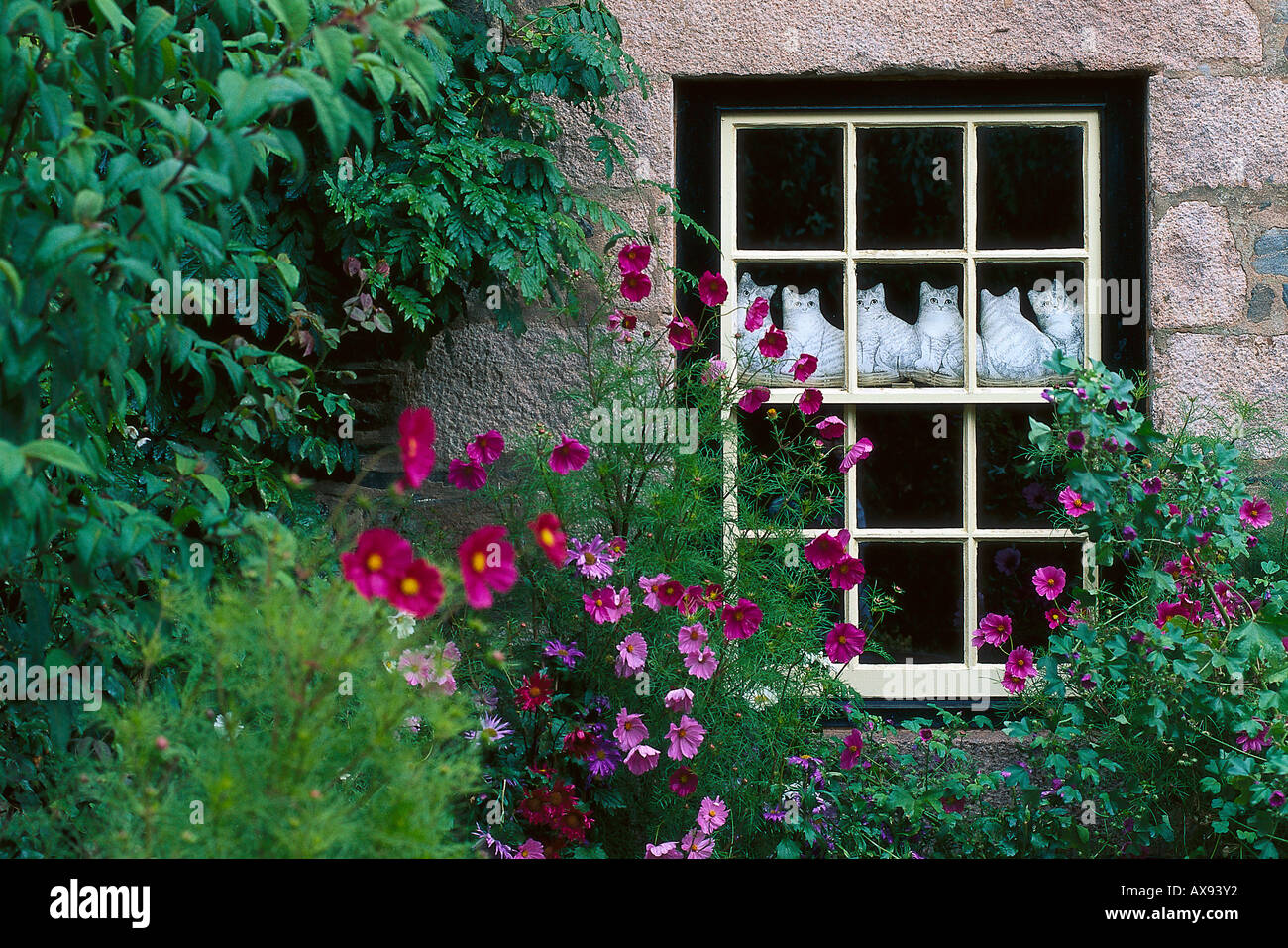 Window of Hotel Dixcart, Oldest Hotel on Sark, Sark, Channel Islands ...