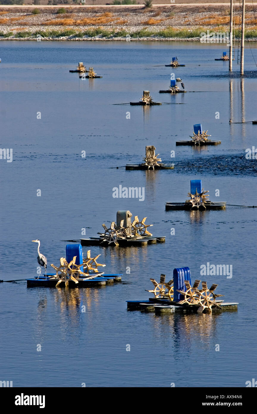 Agitating floats for aeration introducing oxygen into the water at a ...