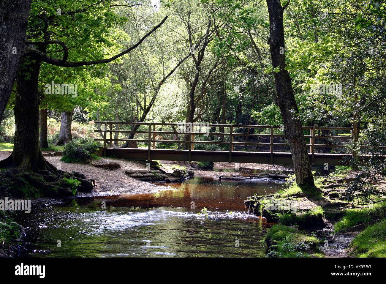 Bridge over a woodland river, Brockenhurst, New Forest National Park ...