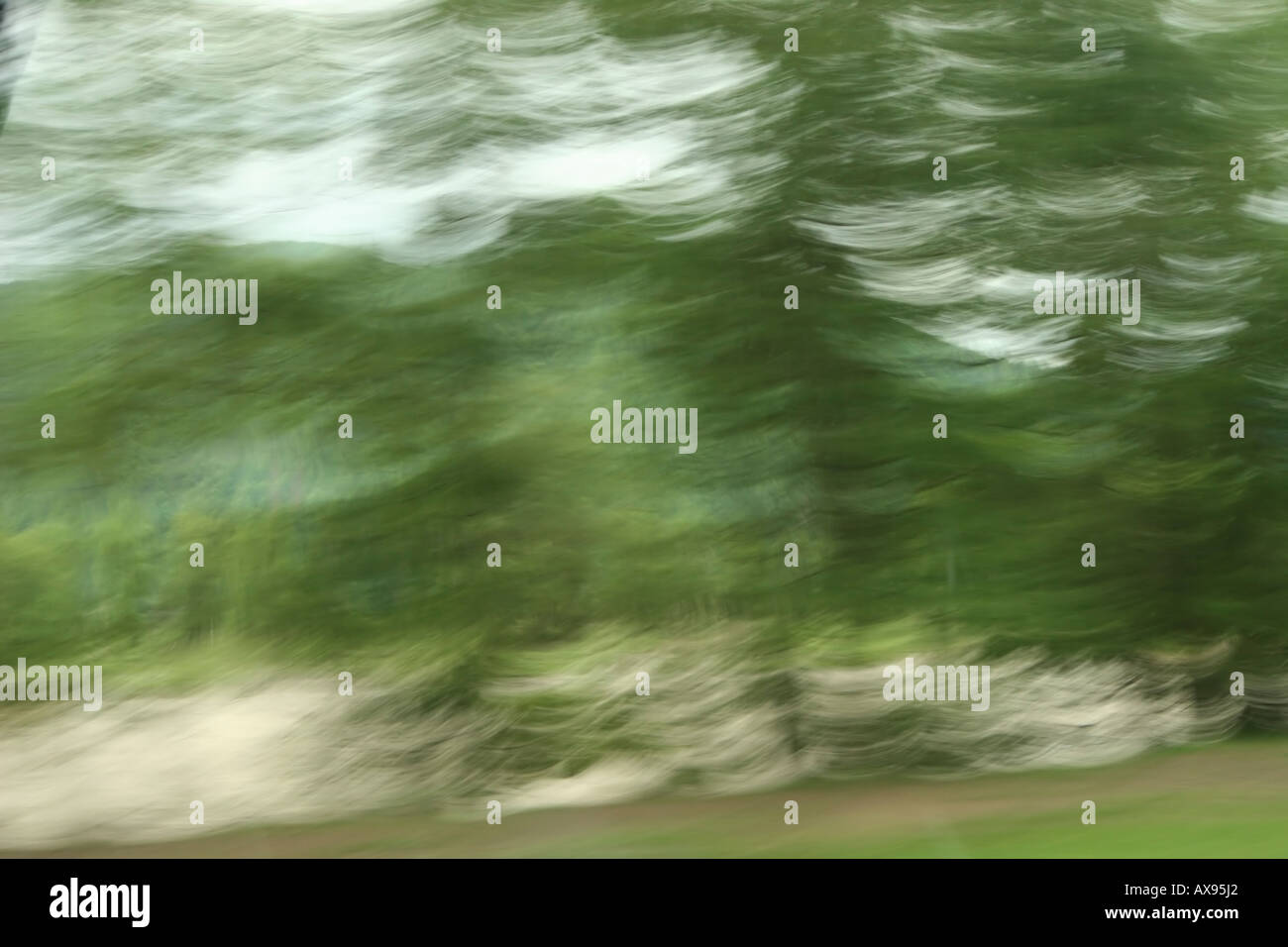 Trees Reflection in water a green abstract background Stock Photo - Alamy