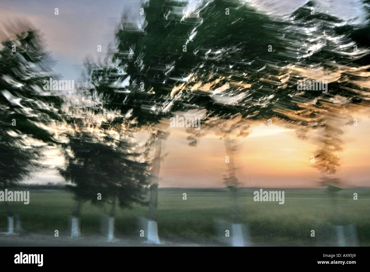 Trees Reflection in water Stock Photo - Alamy