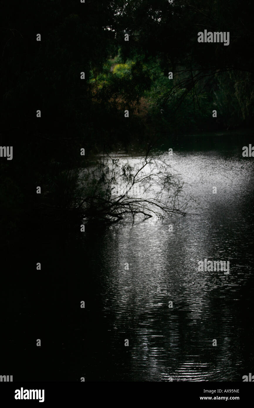 Trees Reflection in water Stock Photo - Alamy