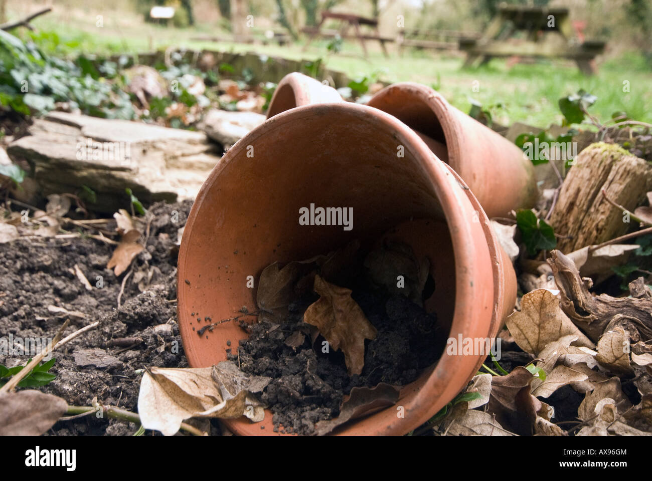 Insects refuge hi-res stock photography and images - Alamy