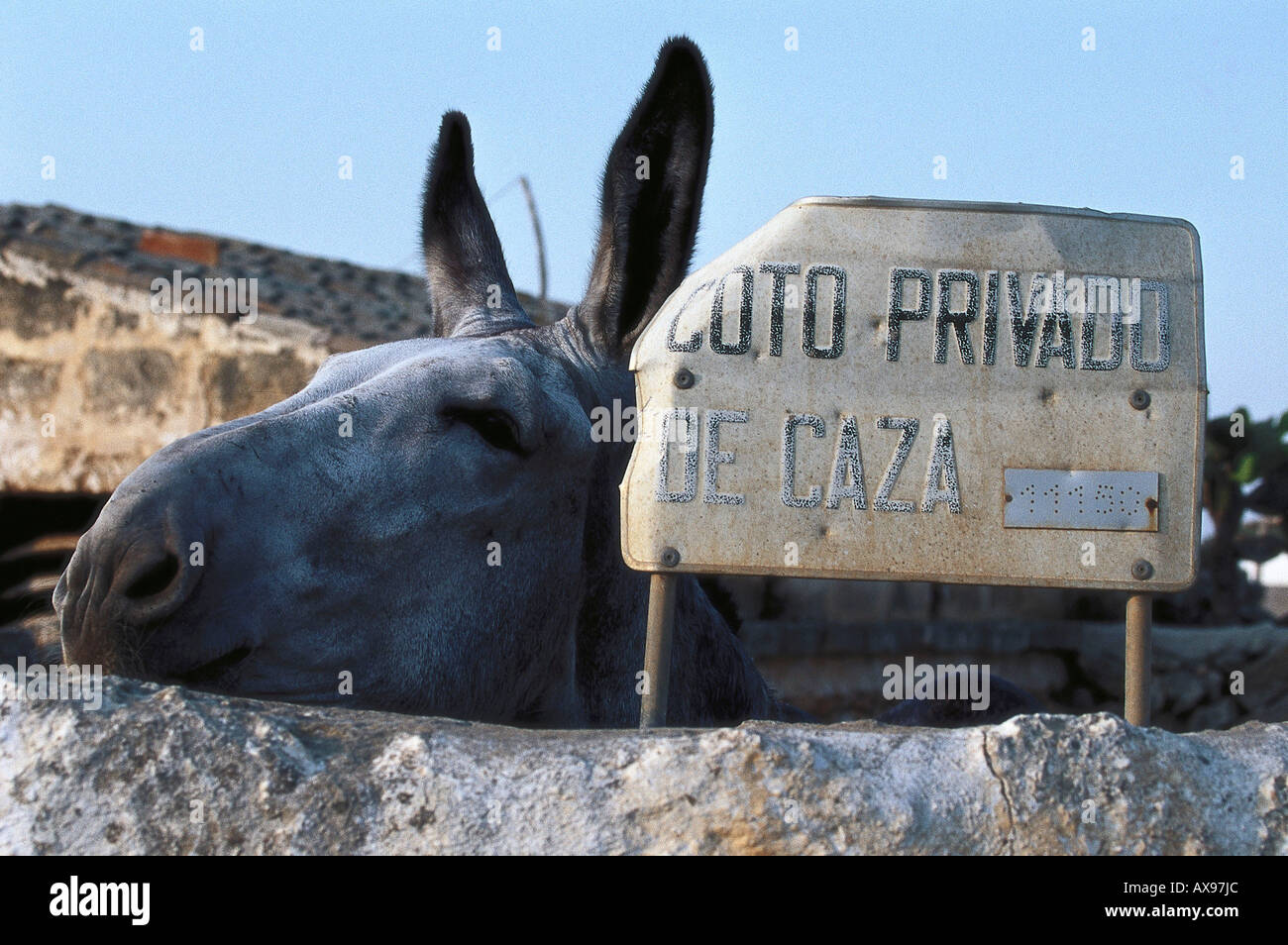 Sign of private hunting area, donkey, Menorca, Minorca, Balearic ...