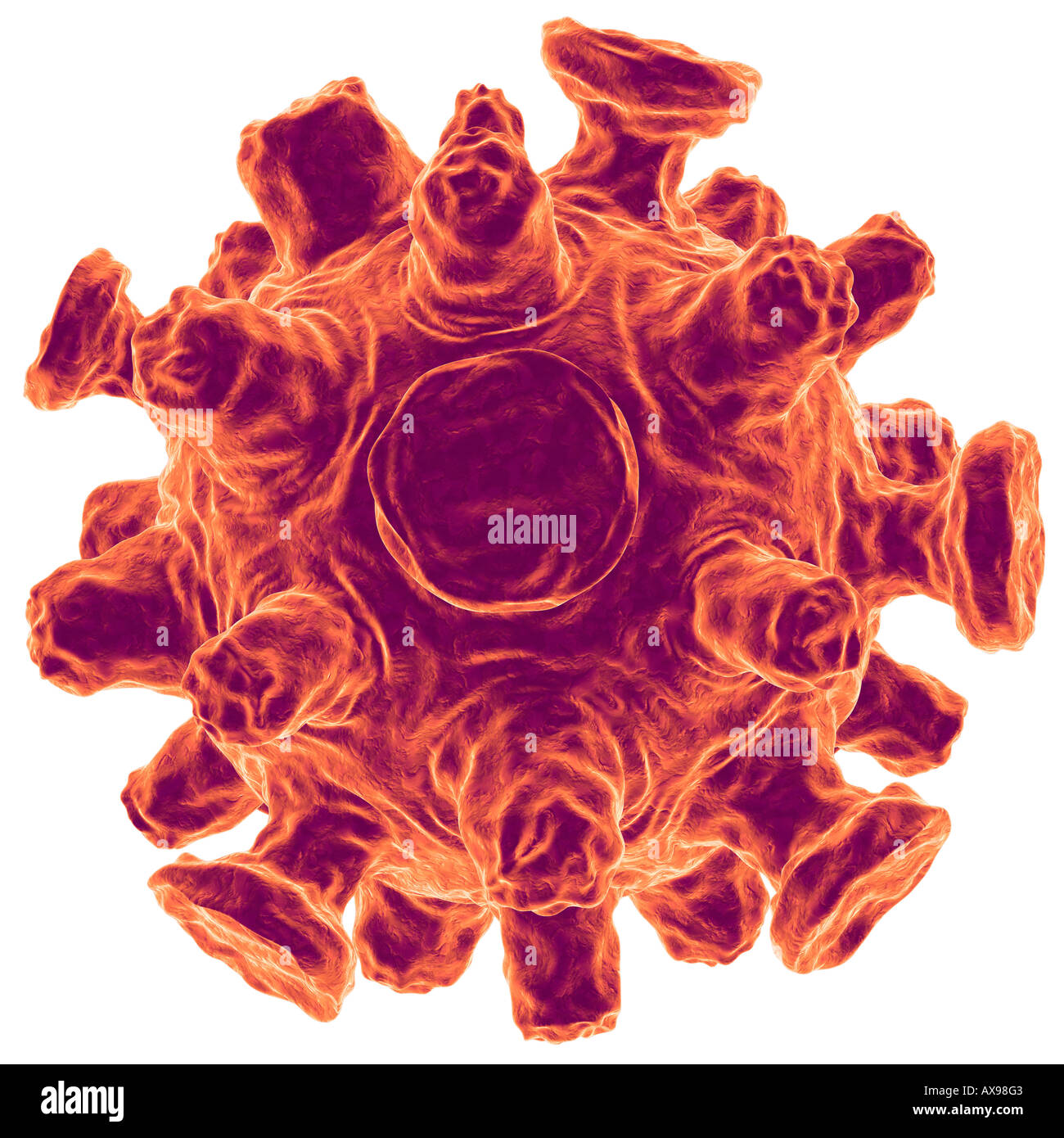 Electron microscope bug hi-res stock photography and images - Alamy