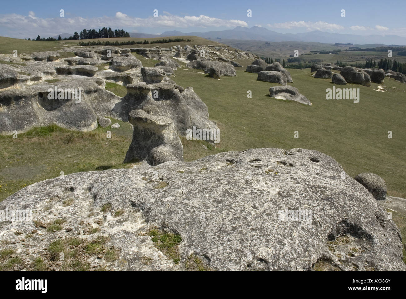 The weird landscape at Elephant Rocks, North Otago in the South Island ...