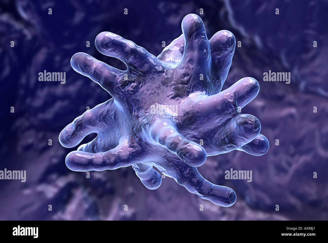 Germ x hi-res stock photography and images - Alamy