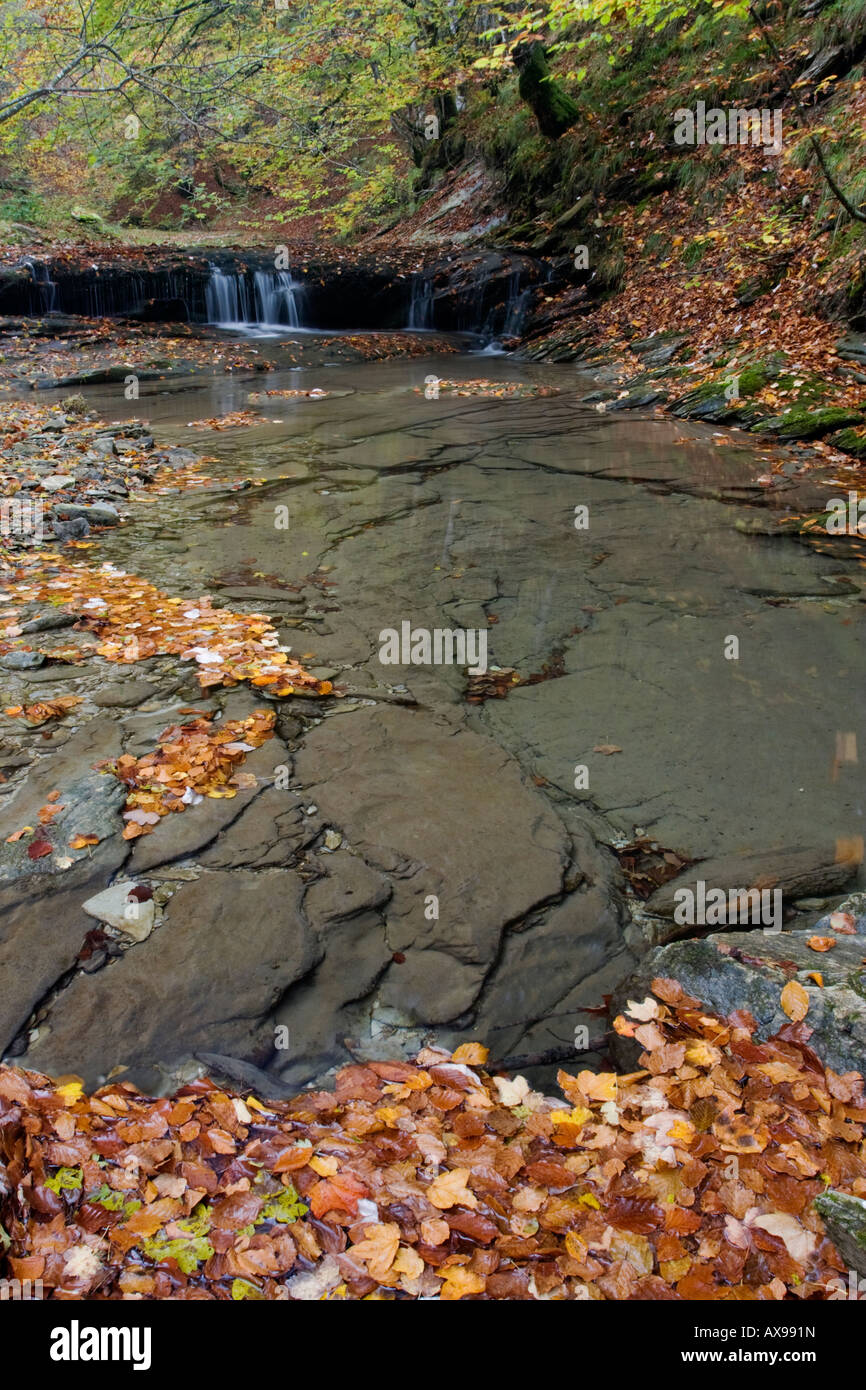 River in autumn at Selva de Irati, Navarra pyrenees, Spain Stock Photo ...