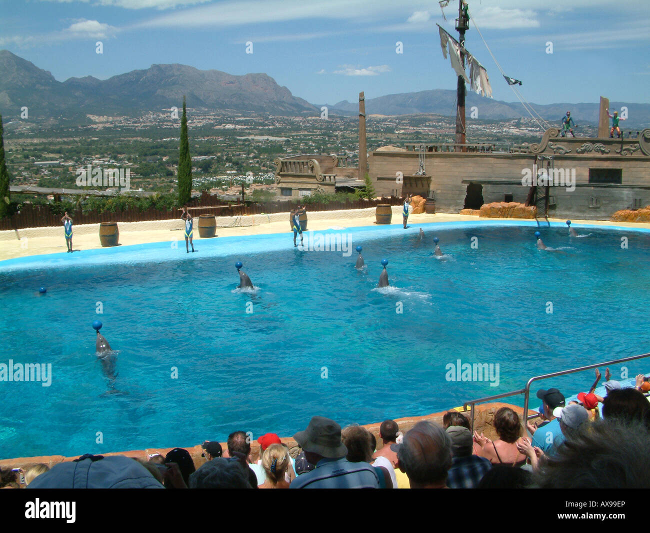 dolphin show, Mundomar, Benidorm, Alicante Province, Spain Stock Photo ...