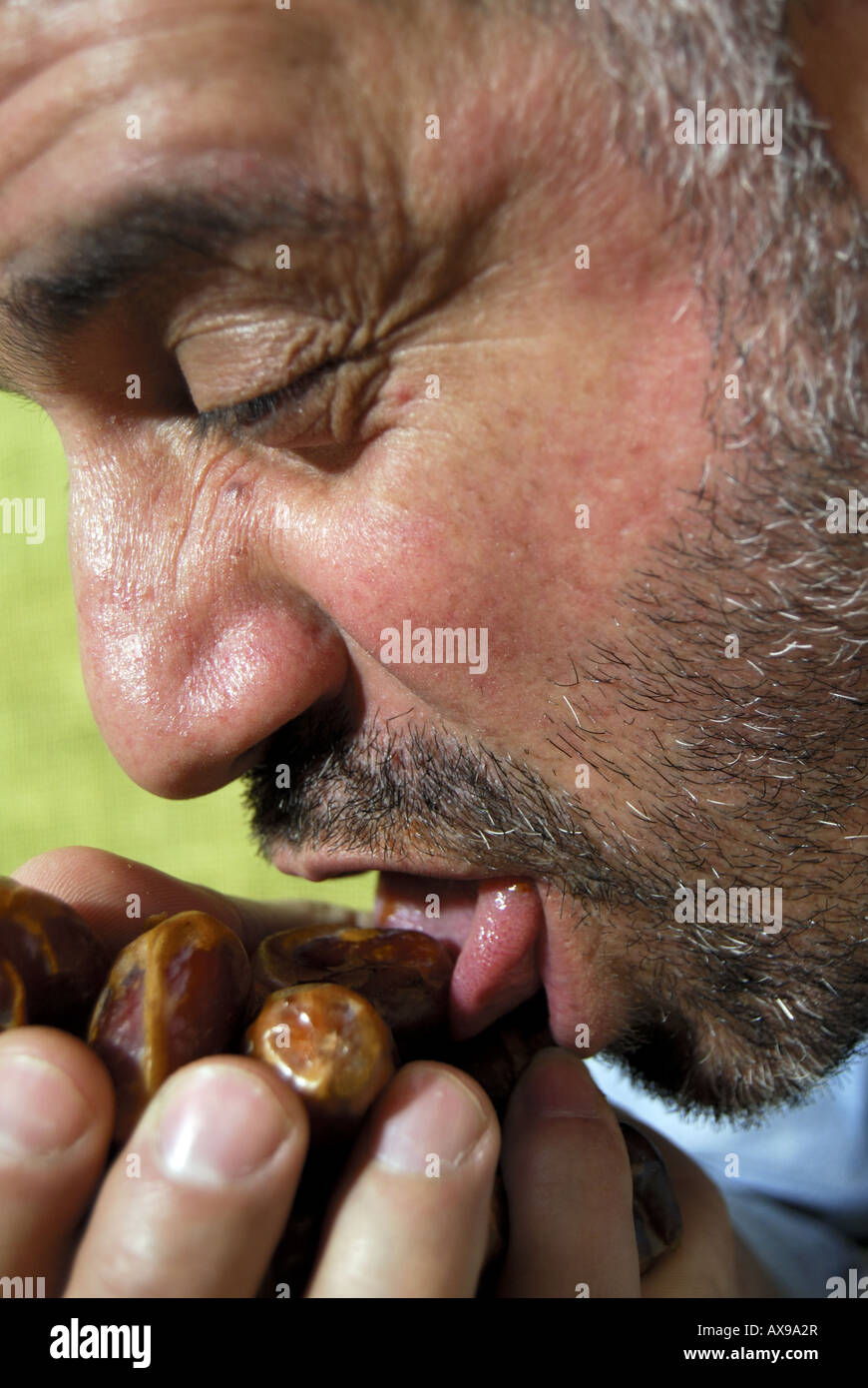 Hungry ones hi-res stock photography and images - Alamy