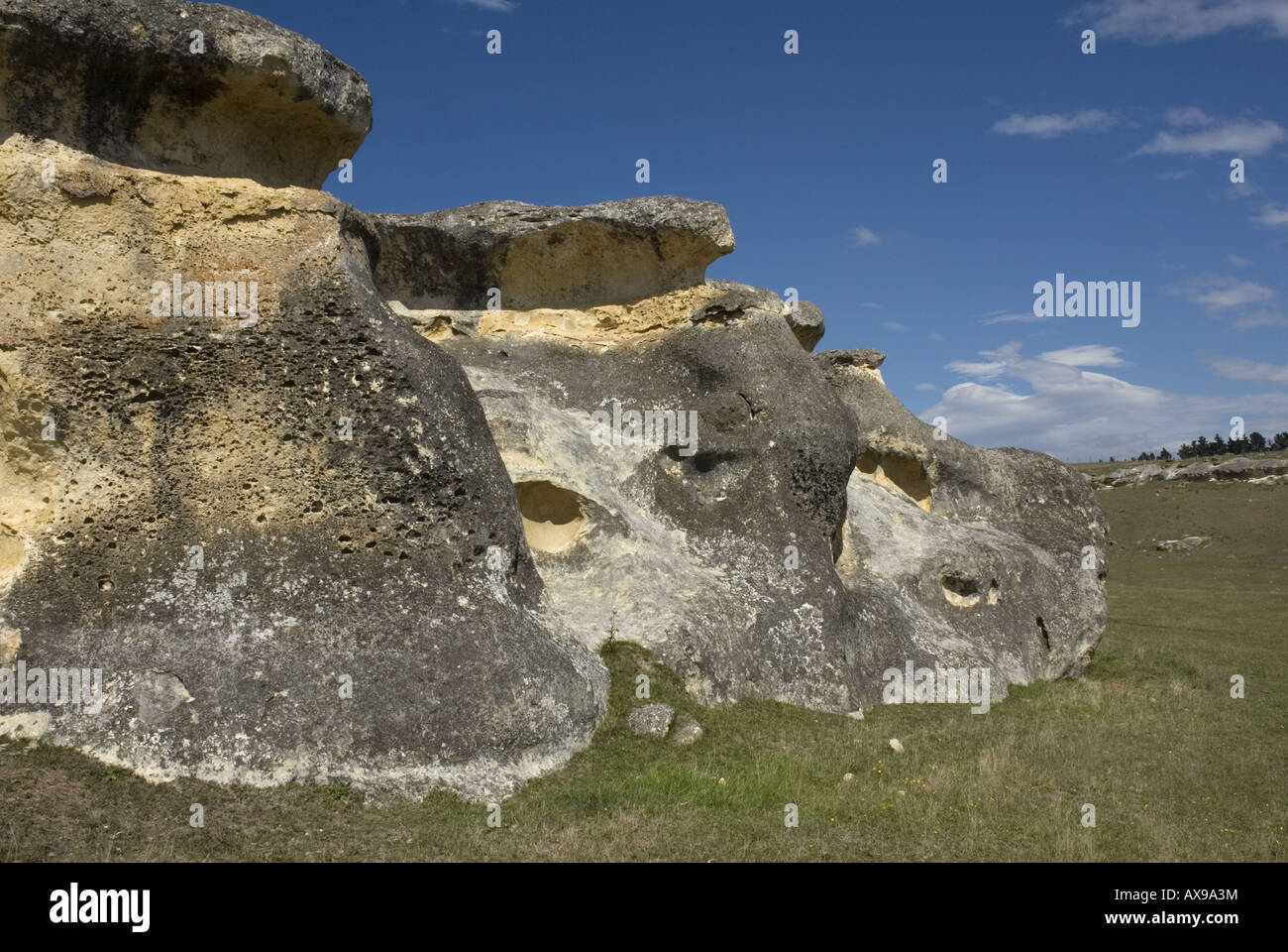 The weird landscape at Elephant Rocks, North Otago in the South Island ...
