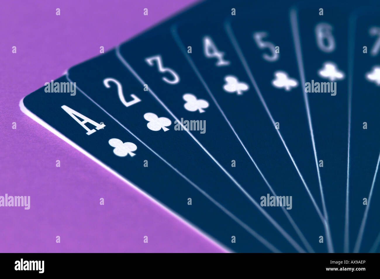 Playing cards suit of clubs laid out in order close up Stock Photo - Alamy