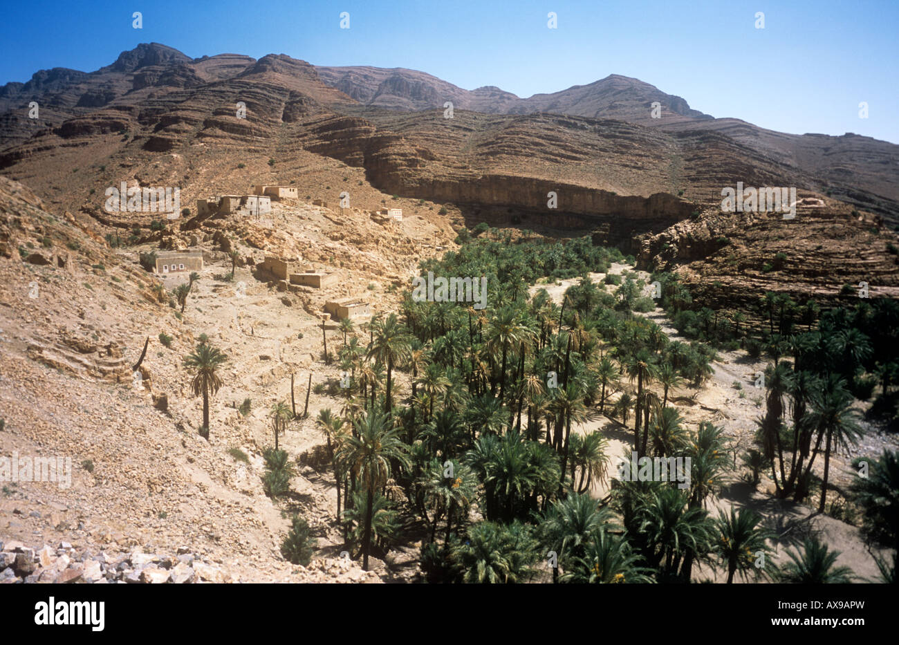 Afella Ighir Oasis, Ait Mansour Gorges, south of Tafraoute, Southern ...