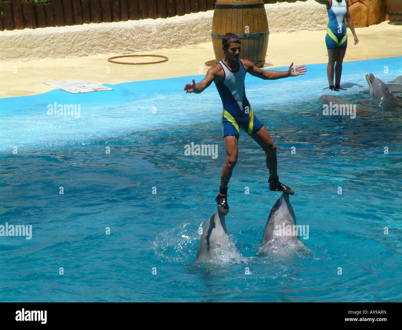 dolphin show, Mundomar, Benidorm, Alicante Province, Spain Stock Photo ...