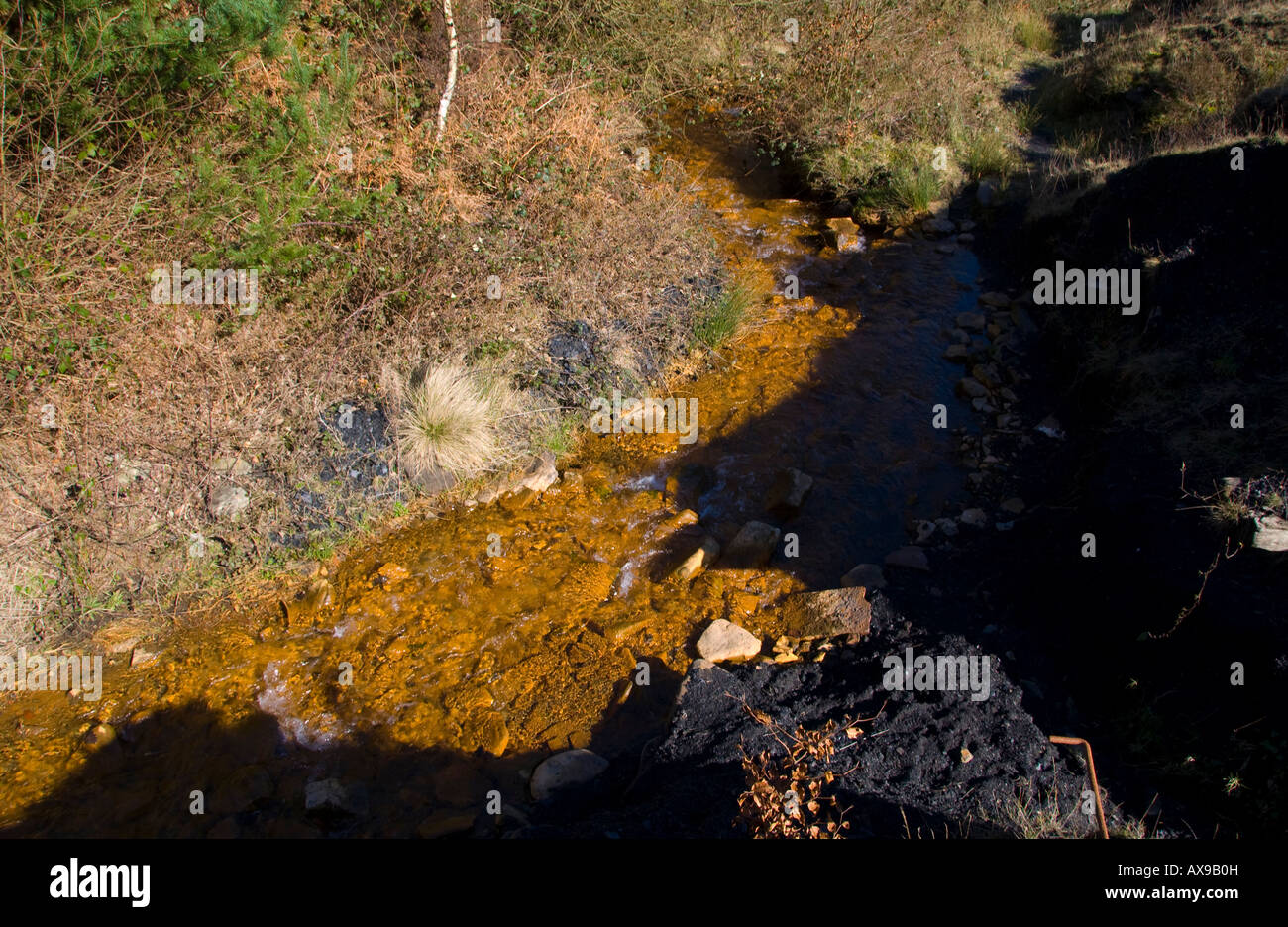 Polluted mine water from the former Blaenserchan Colliery near ...