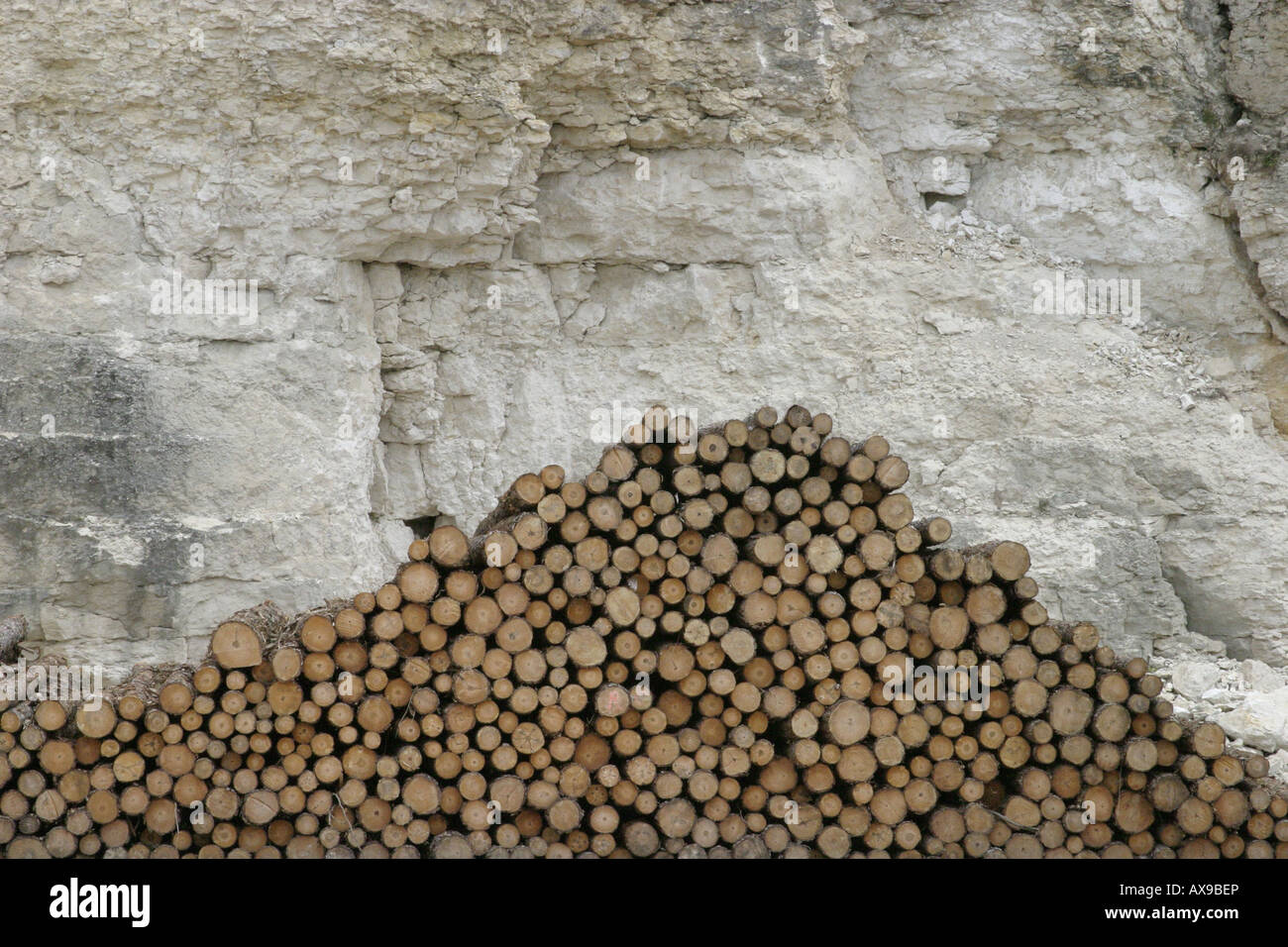 Rocks and logs Stock Photo - Alamy