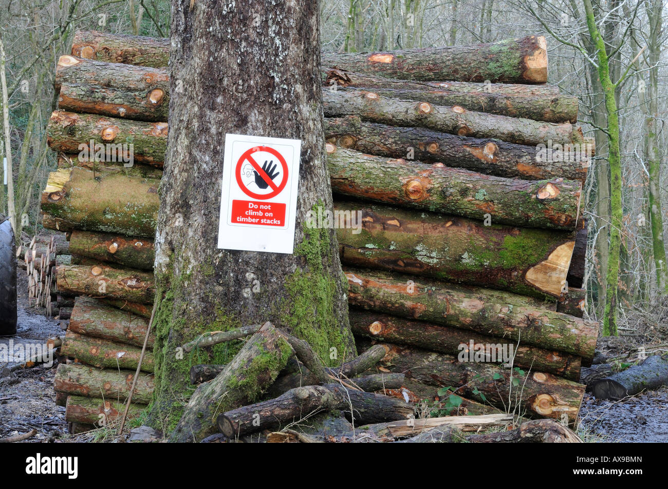 Warning sign climb on timber hi-res stock photography and images - Alamy