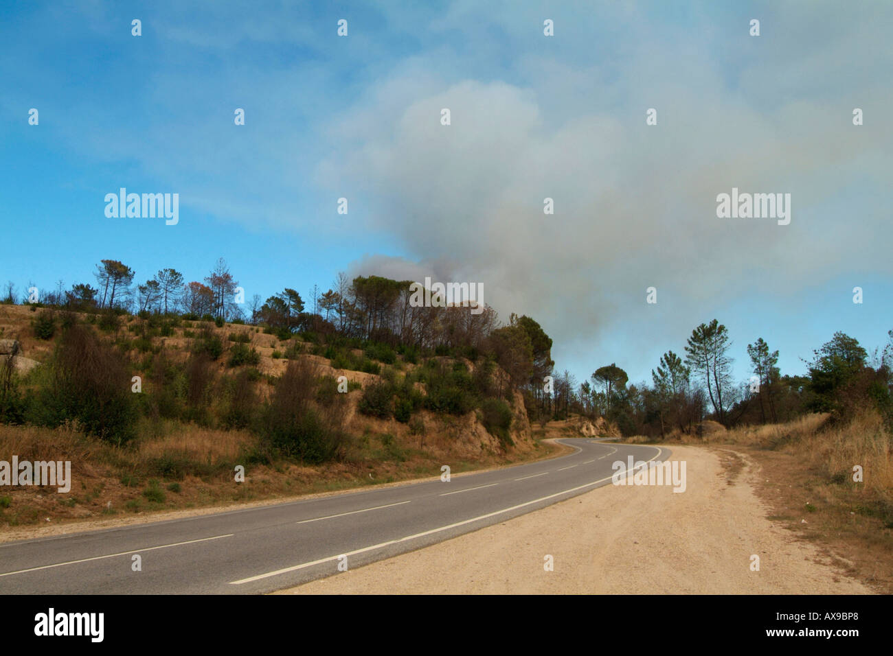 Smoke from a forest fire in Portugal 2006 Stock Photo - Alamy