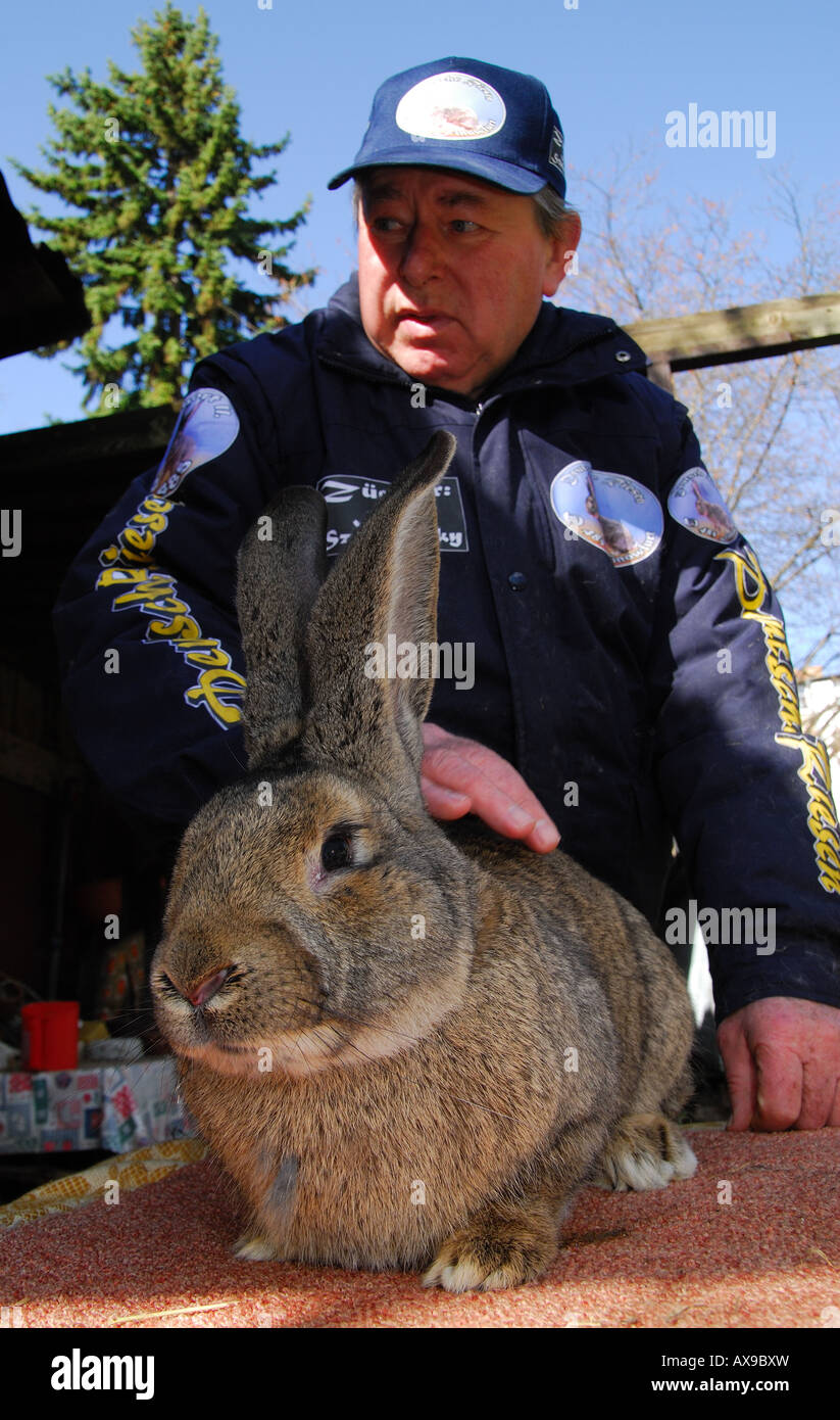 German rabbit breeder Karl Szmolinsky with one of his giant rabbits ...