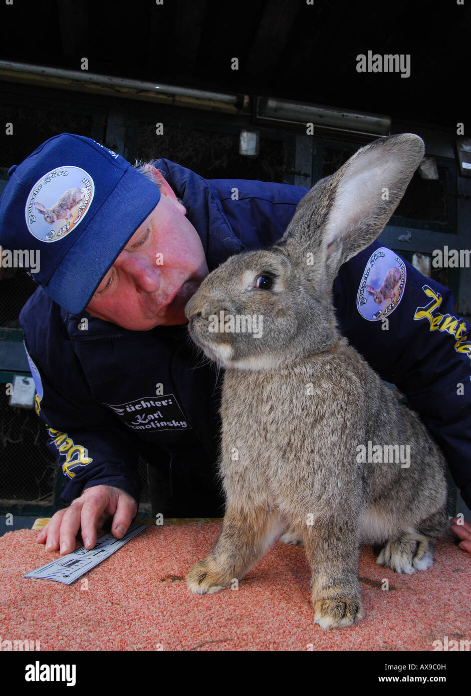 German rabbit breeder Karl Szmolinsky with one of his giant rabbits ...
