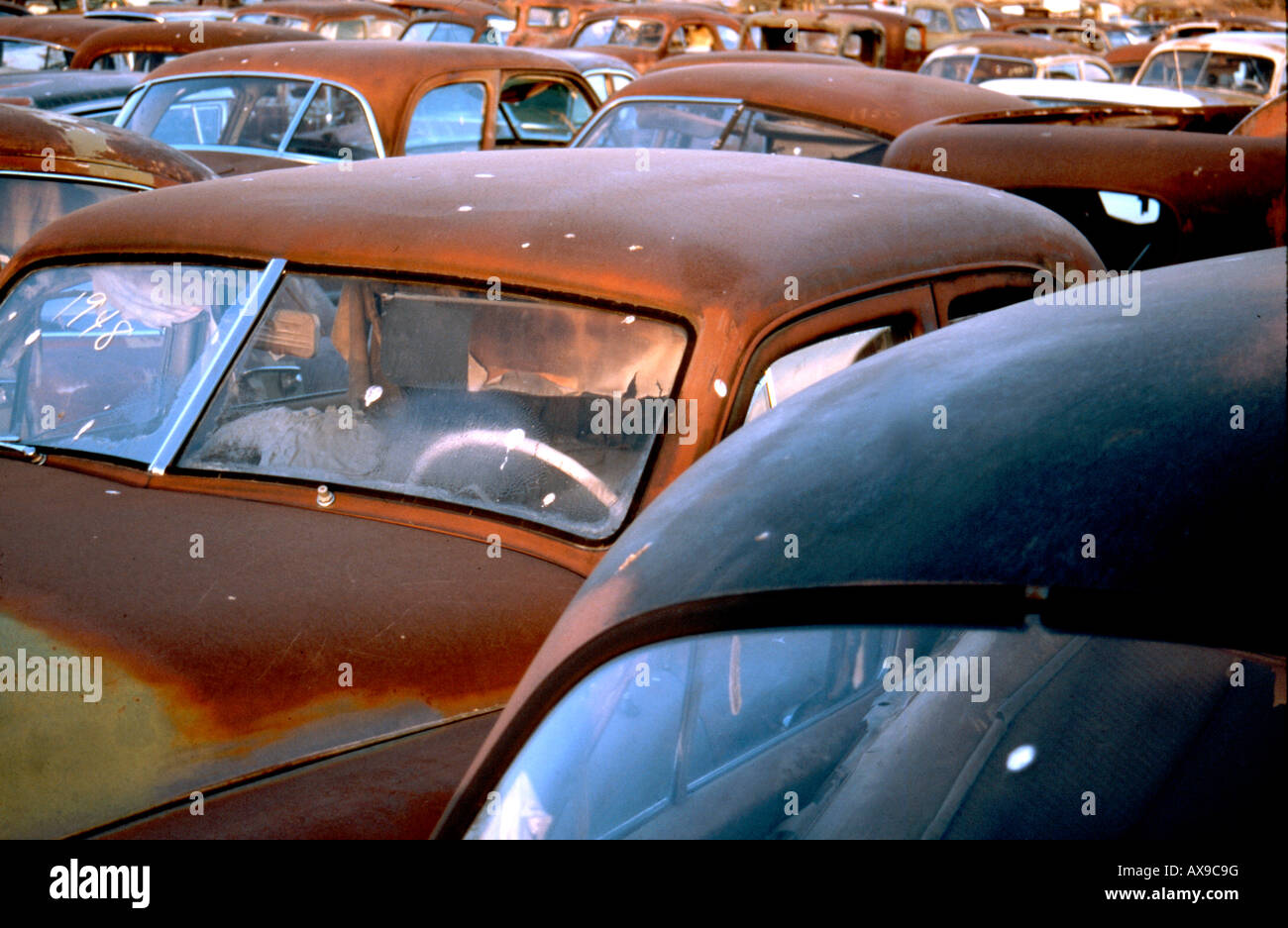 Old American cars rusting in US scrapyard Stock Photo - Alamy